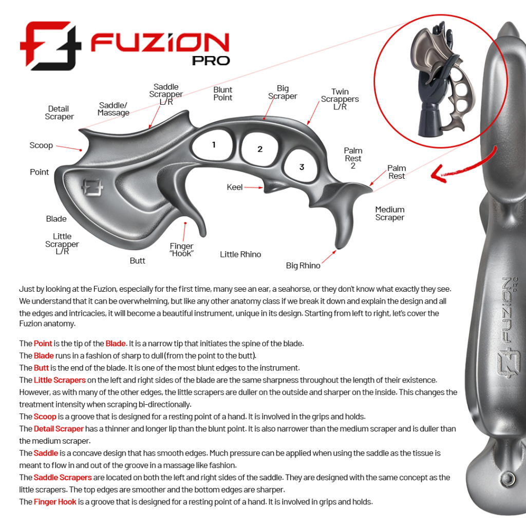 Home - Fuzion Therapy